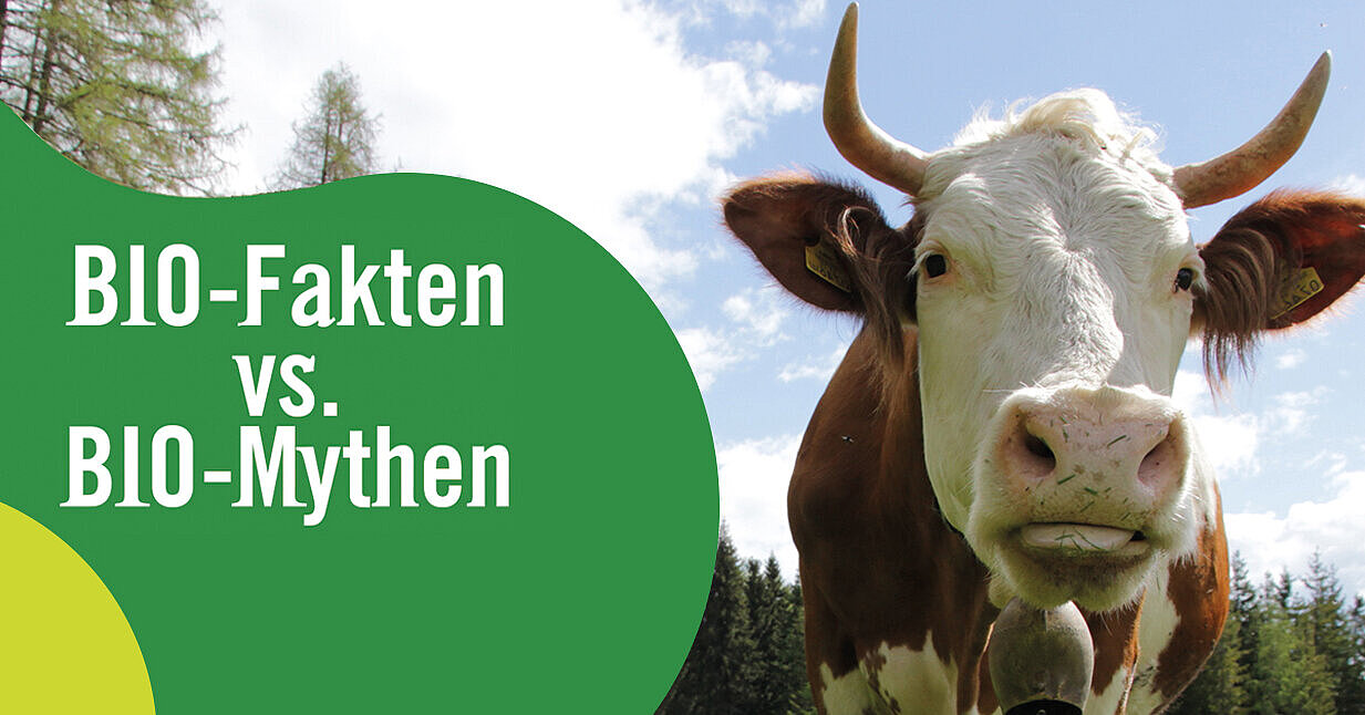 Was steckt dahinter? 9 häufige BIO-Mythen erklärt | Blog | Zurück zum ...
